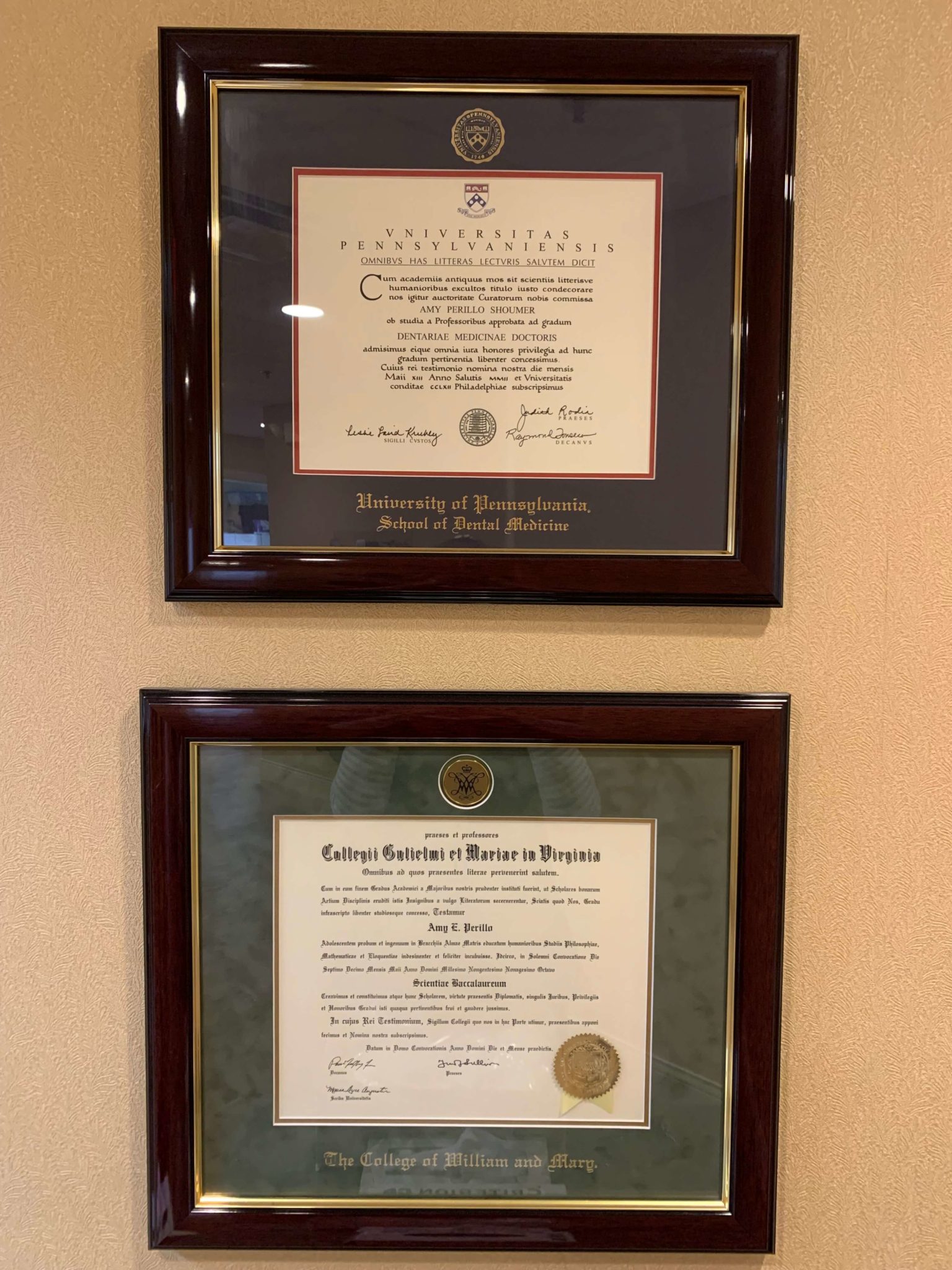 Meet Dr. Amy Shoumer, DMD | Family Dentist | Bryn Mawr, PA